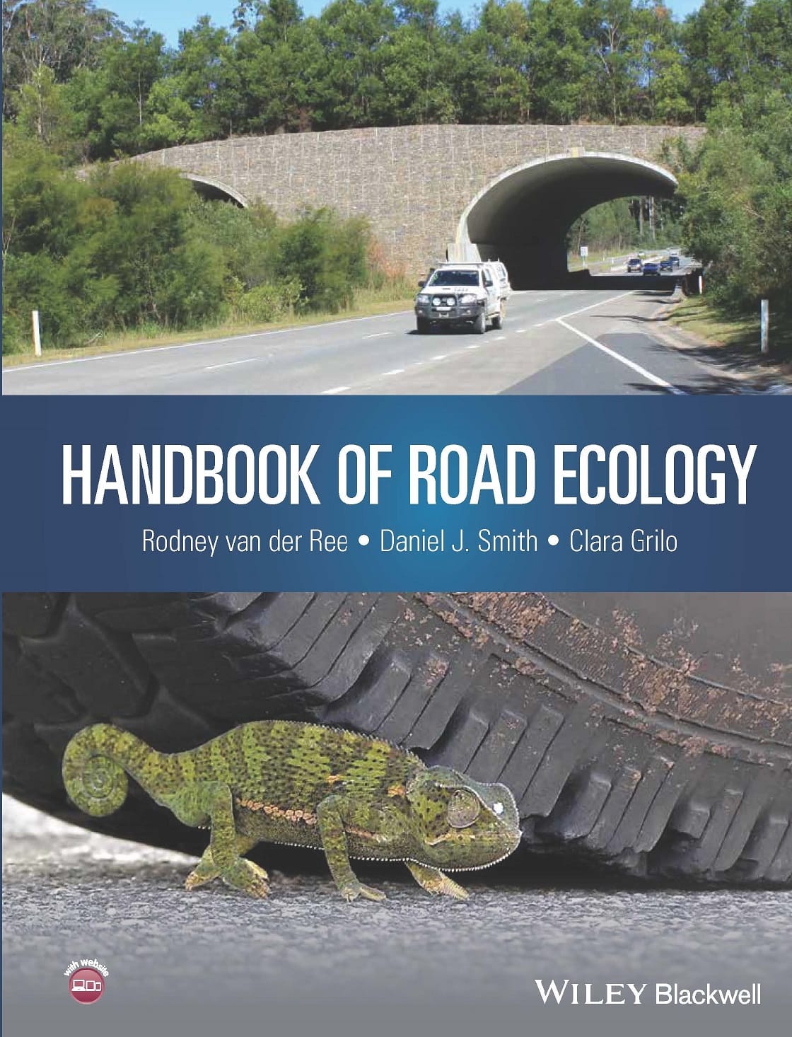 What's New | eco-kare international