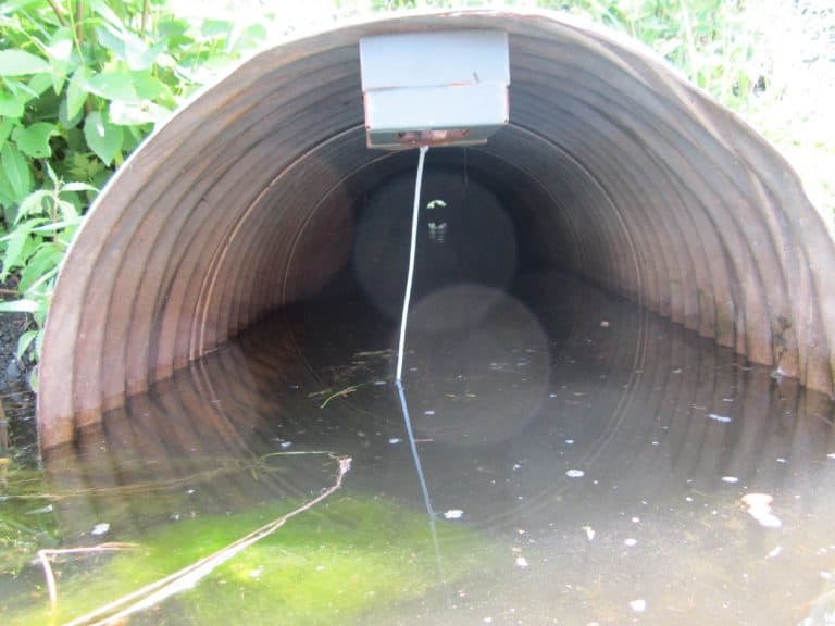 Wildlife Monitoring (Drainage Culverts) | eco-kare international