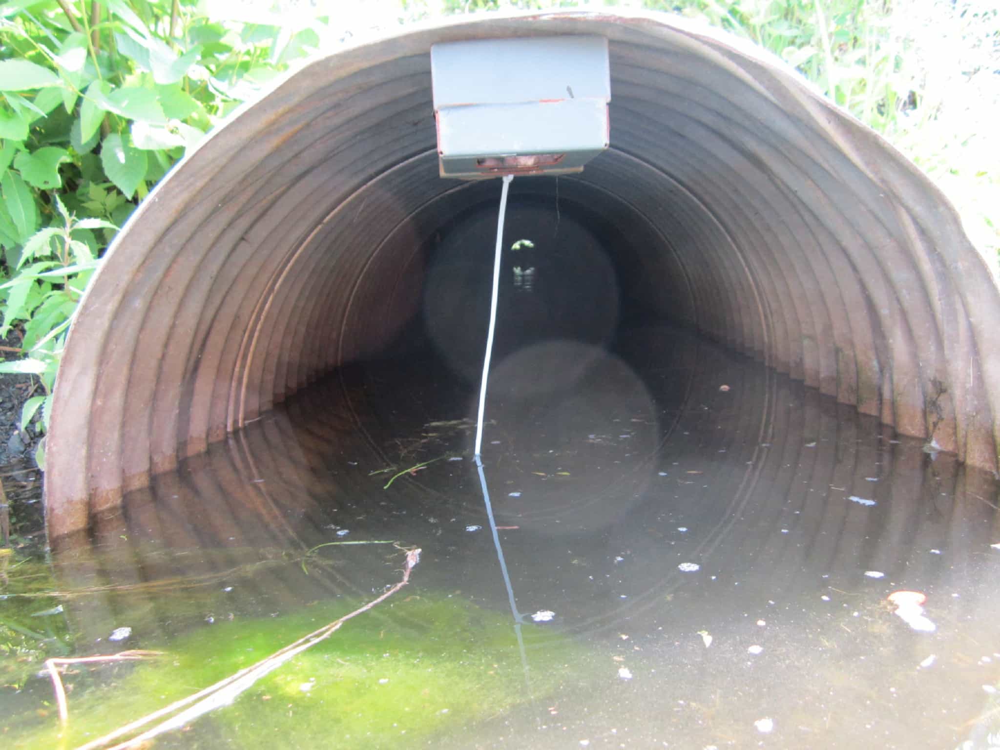 Wildlife Monitoring (Drainage Culverts) | eco-kare international