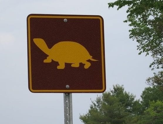 What's New | eco-kare international