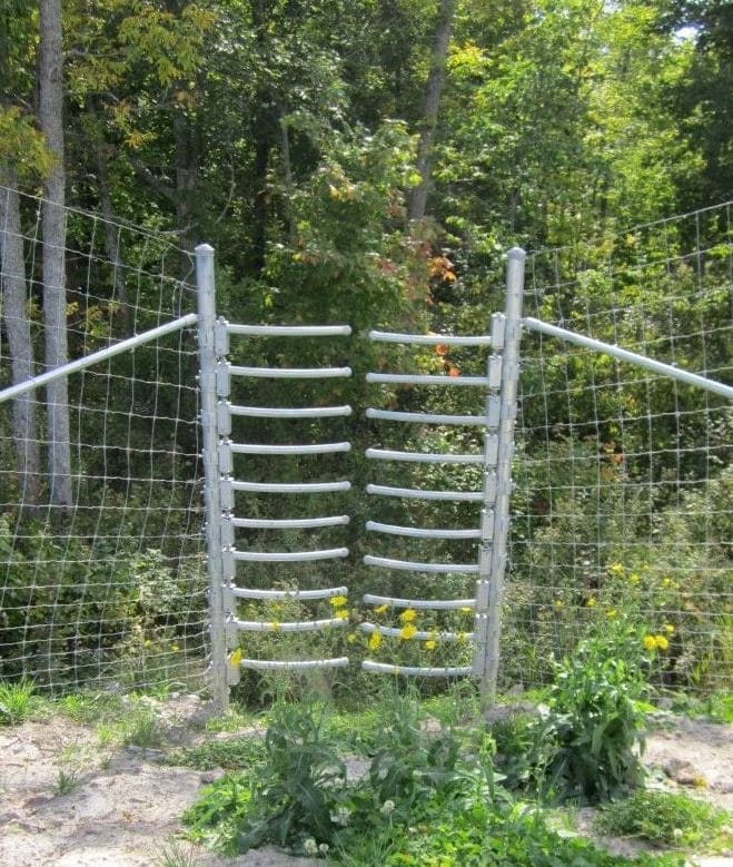 Wildlife Monitoring (Highway 69 Part 2) | eco-kare international